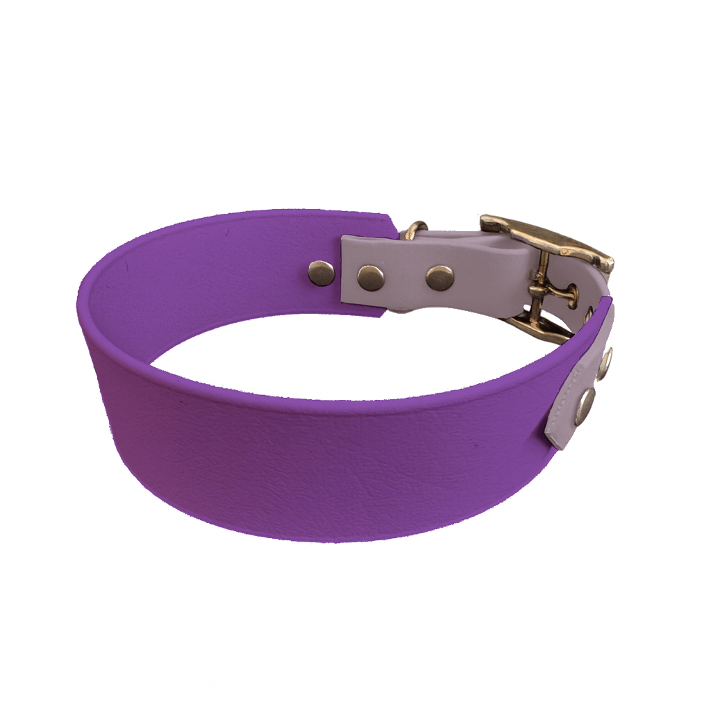 Collier Large Bicolore en BioThane® 38 mm / 25 mm – Personnalisable ...